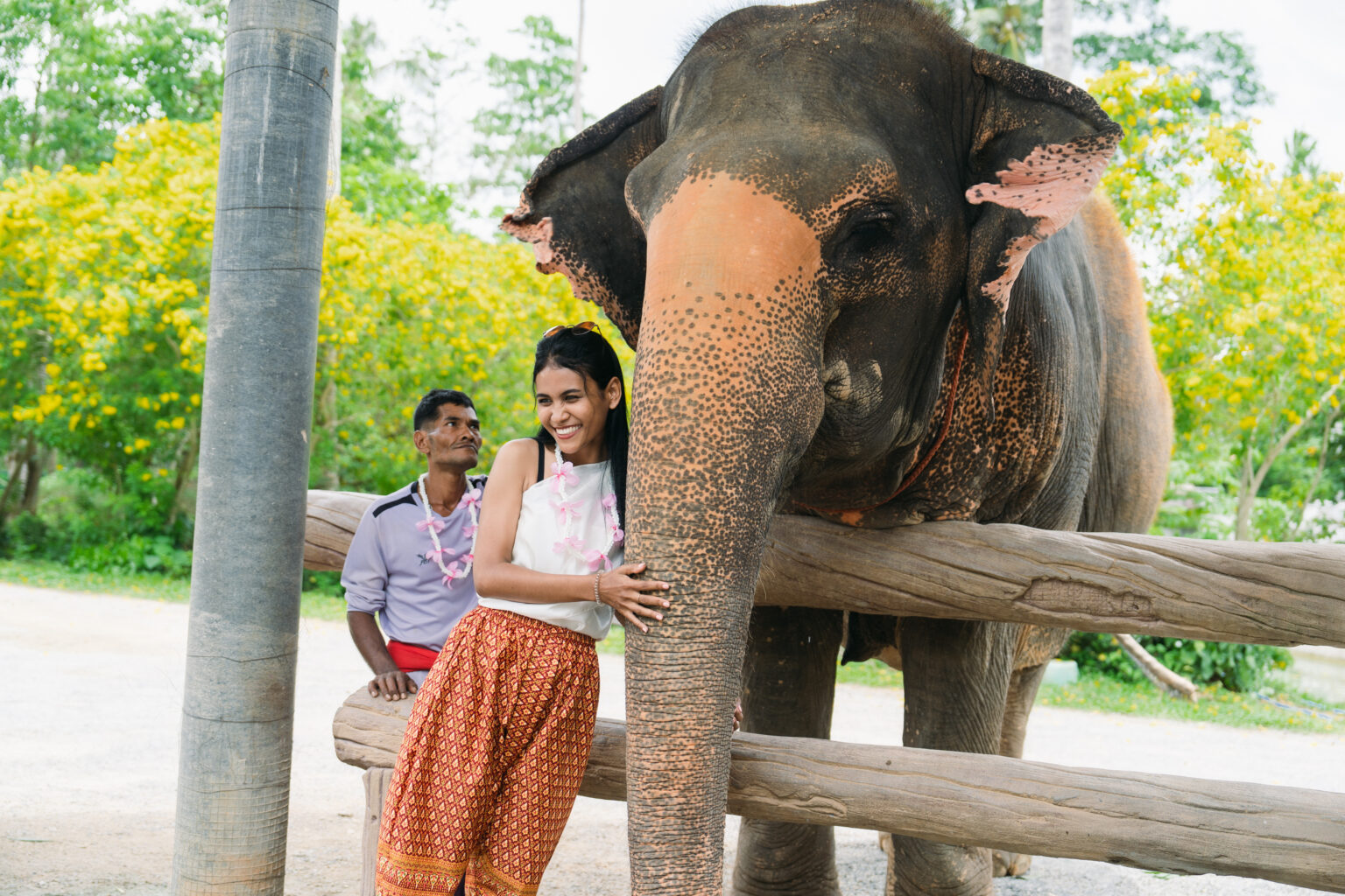 Home - Aonang Elephant Sanctuary