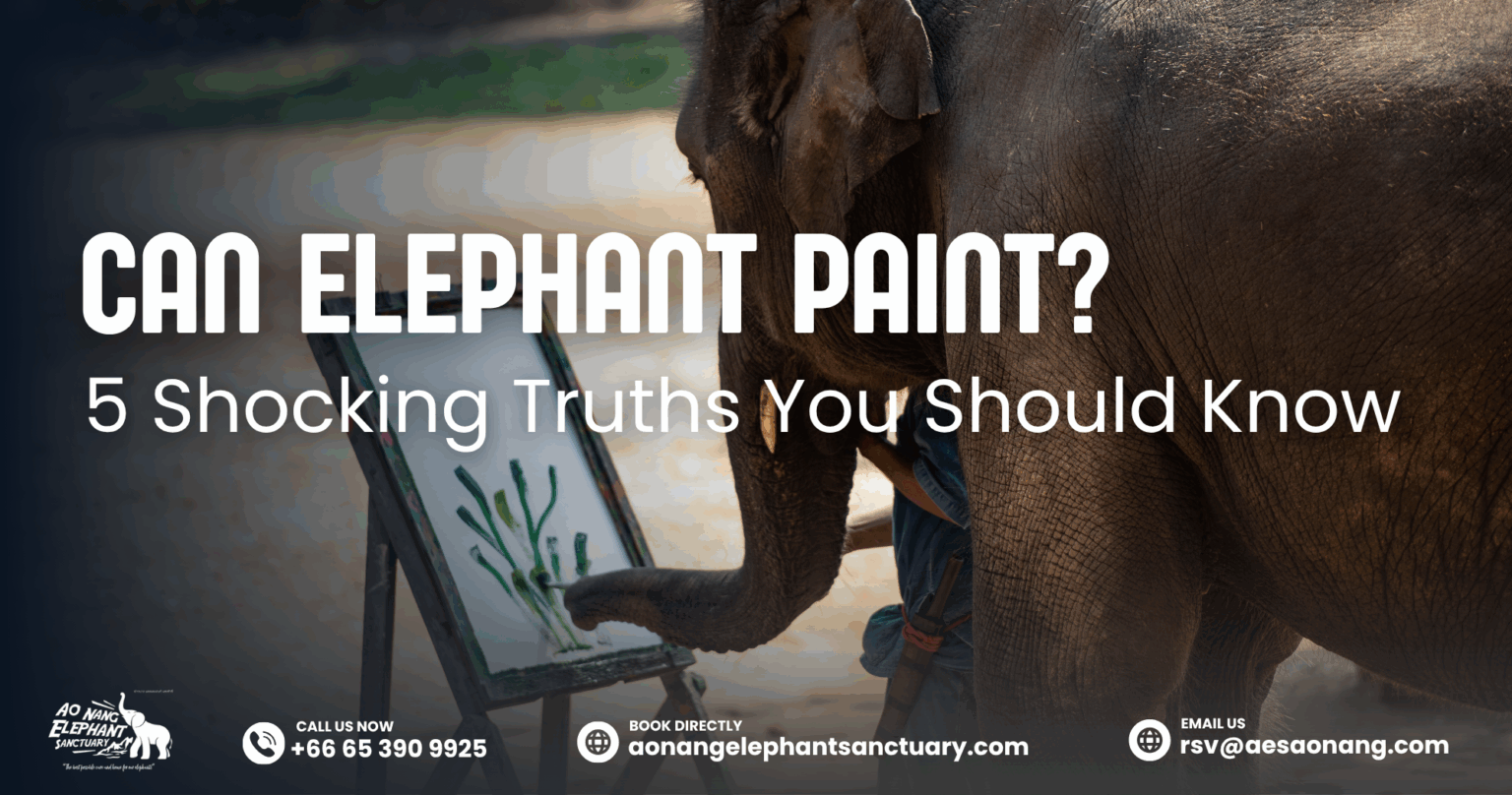 Can Elephant Paint? 5 Shocking Truths You Should Know - Aonang Elephant ...